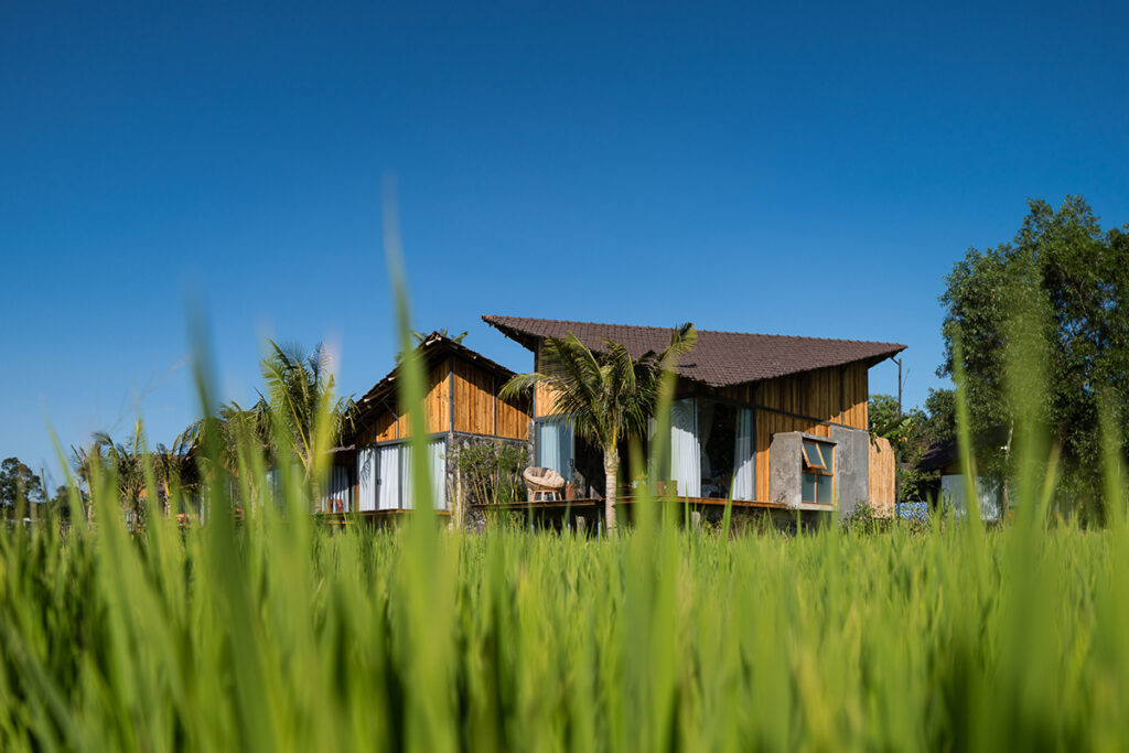 Green Field Resort - View sống ảo cực xịn giữa đồng lúa