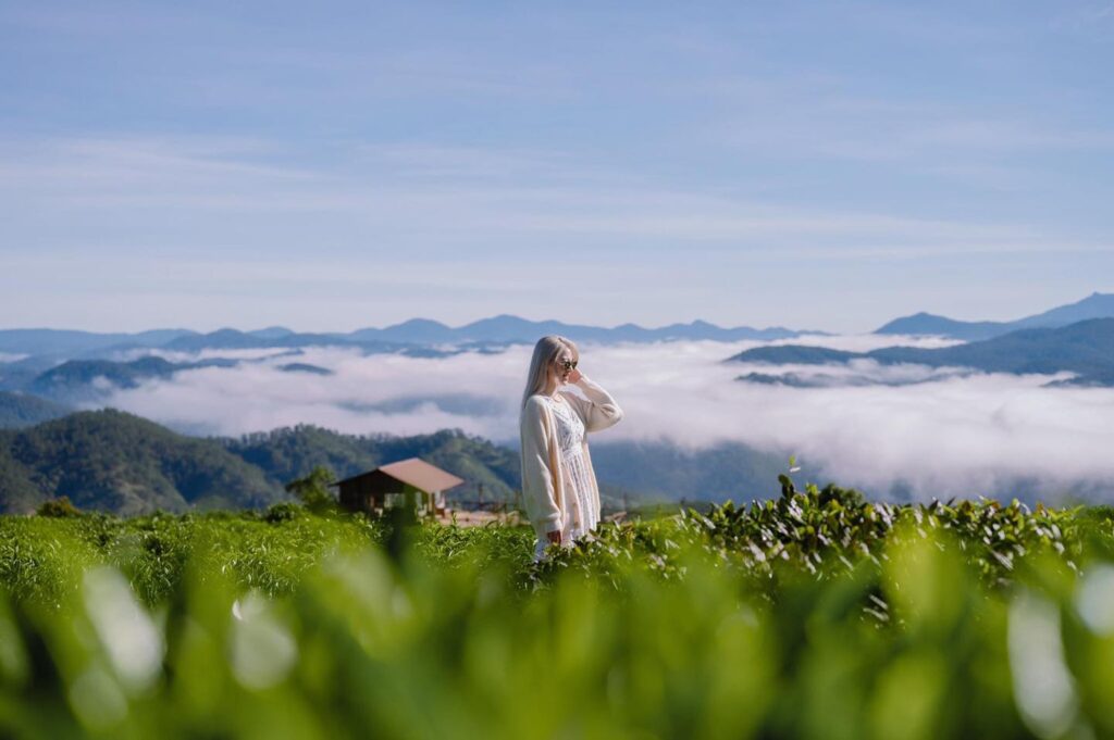 Đồi chè Cầu Đất - Điểm check in mới lạ và hot nhất Đà Lạt