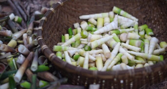 Top 14 đặc sản Đăk Lăk đáng thử, thích hợp mua về làm quà