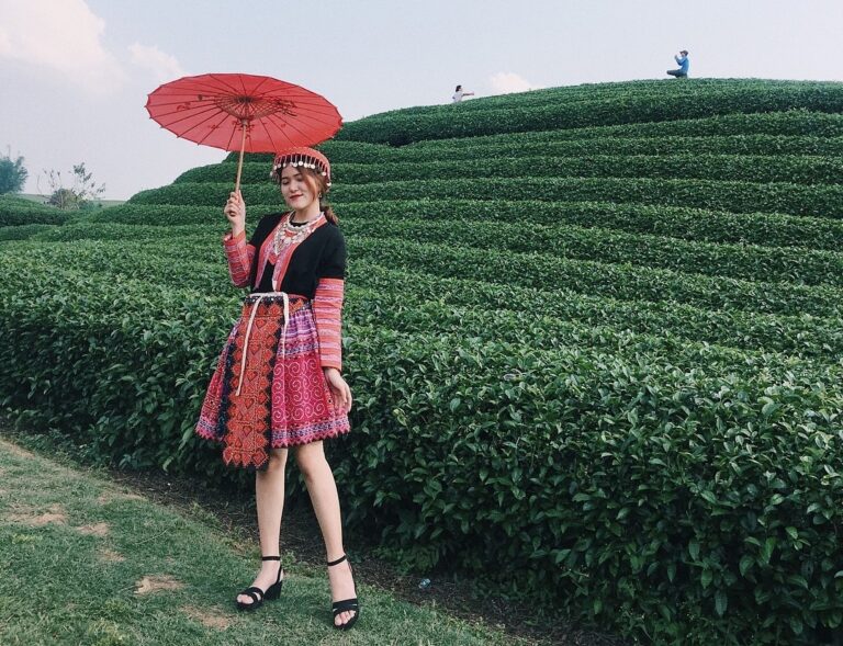 Review đồi chè Thái Nguyên tất tần tật từ A - Z cho du khách