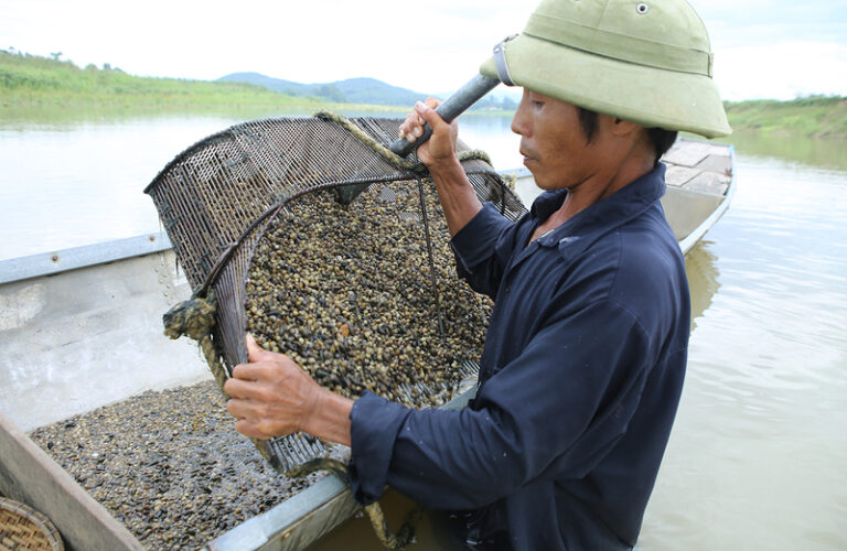 Cồn Hến - Hòn đảo nhỏ mộng mơ giữa dòng sông Hương