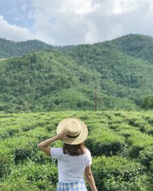 Đồi chè Đông Giang - Địa điểm check-in không thể bỏ qua