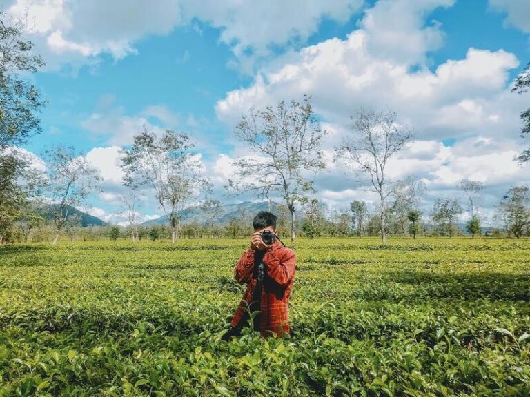 Đồi chè Đông Giang - Địa điểm check-in không thể bỏ qua