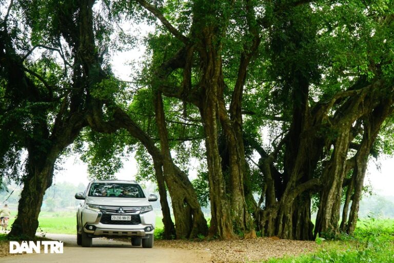 Ivory Hòa Bình - Review khu nghỉ dưỡng cao cấp từ A - Z