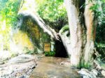 Hồ Ô Tà Sóc An Giang - Địa điểm du lịch đẹp, kỳ vĩ ở An Giang