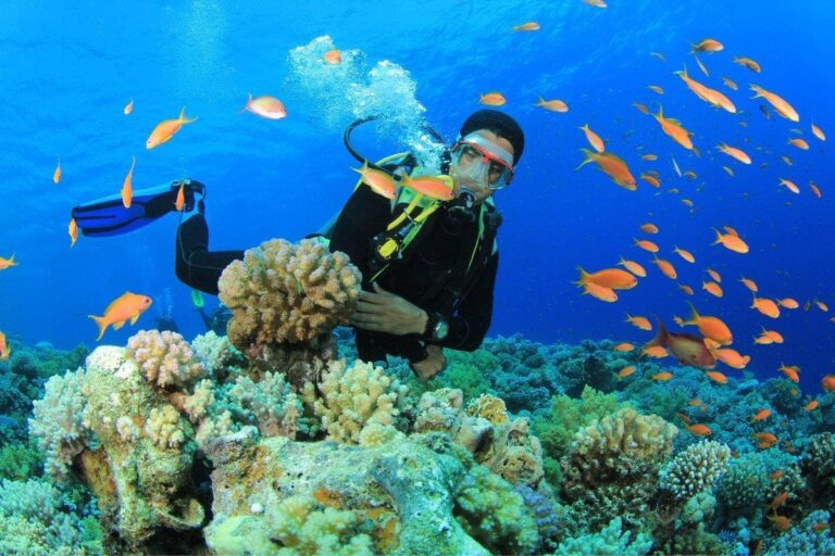 Đảo Hòn Ông Nha Trang: Thiên đường nghỉ dưỡng hoang sơ giữa lòng biển xanh